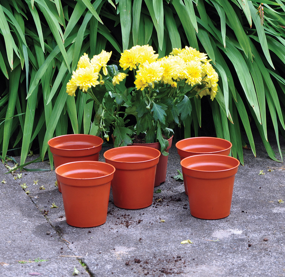 6 Pack X 10Cm(4In) Plant Pots | Bonningtons