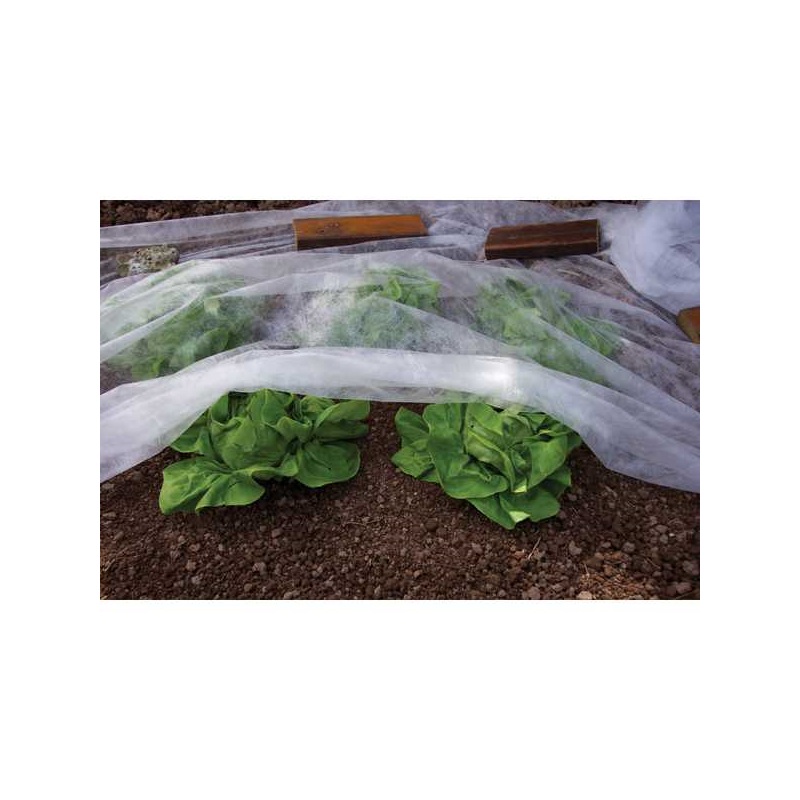 Frost And Insect Protection Fleece | Bonningtons