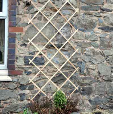 Garden Trellis 6Ft X 3Ft | Bonningtons