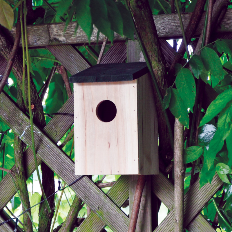 Wooden Bird Nesting Box | Bonningtons