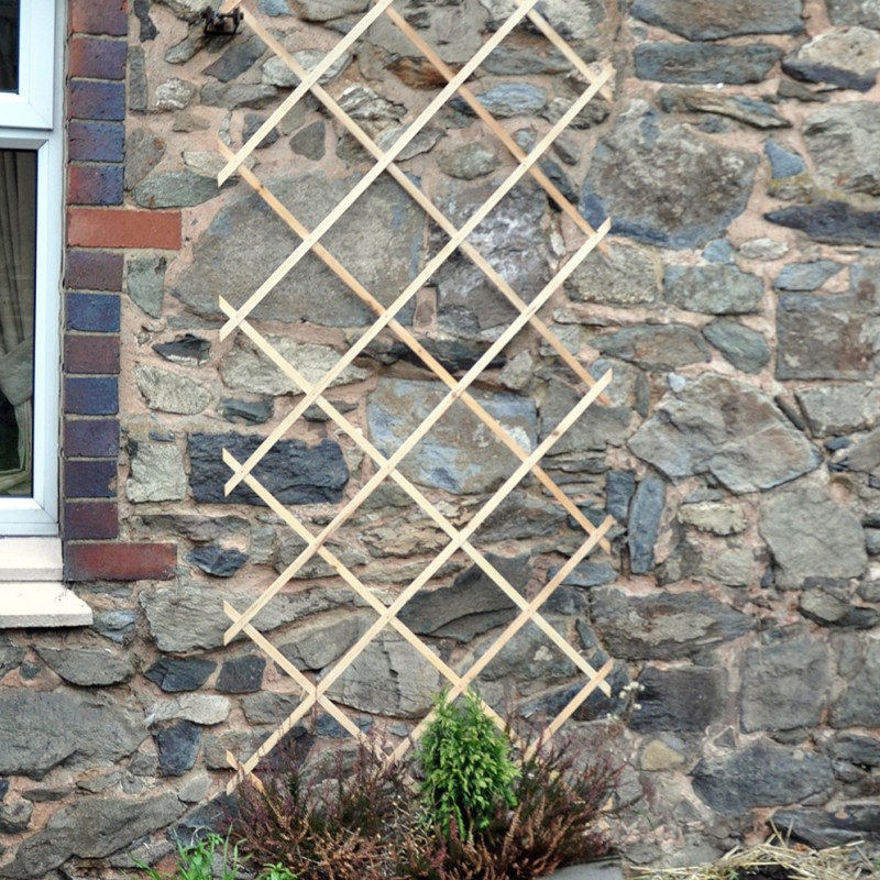 Garden Trellis 6Ft X 3Ft | Bonningtons